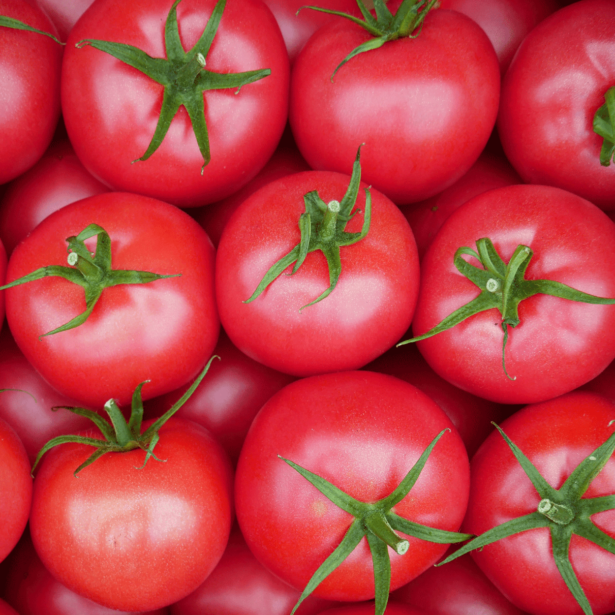 Pomidory malinowe Niska cena w ALDI