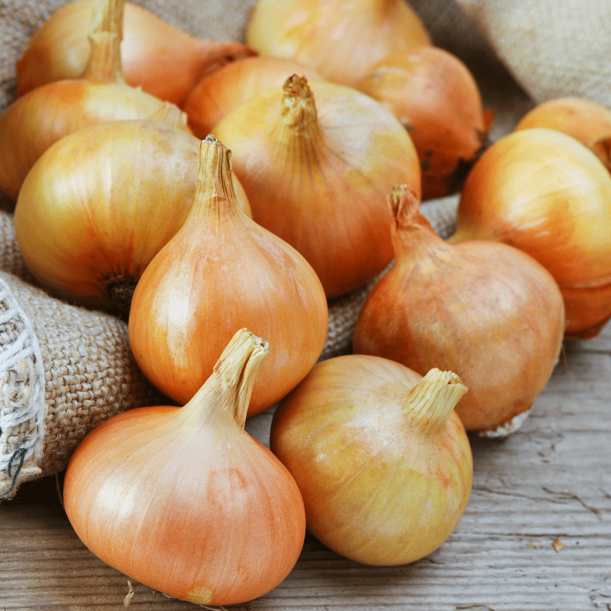 Cebula żółta Niska cena w ALDI