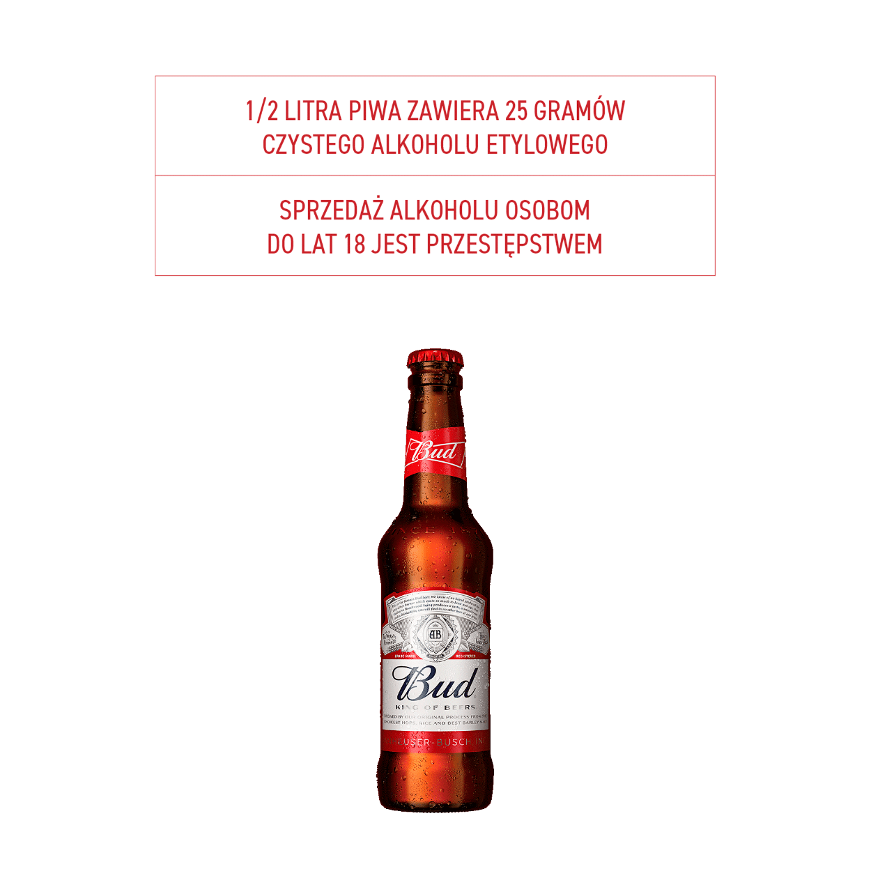 Piwo Bud Niska cena w ALDI