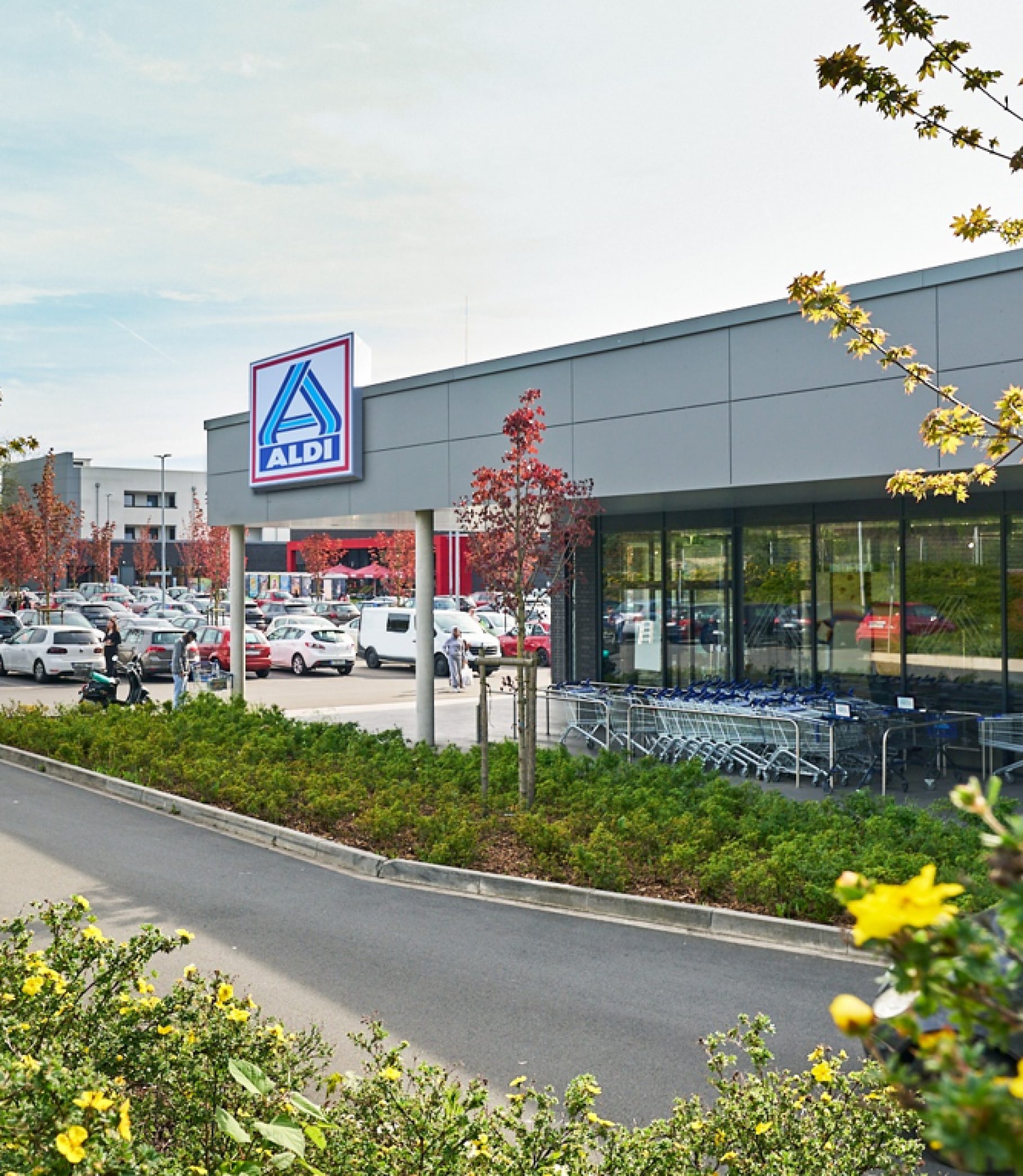 8 nowych sklepów ALDI w jednym tygodniu. Sieć zdradza plany na 2025 rok i zapowiada otwarcie ...