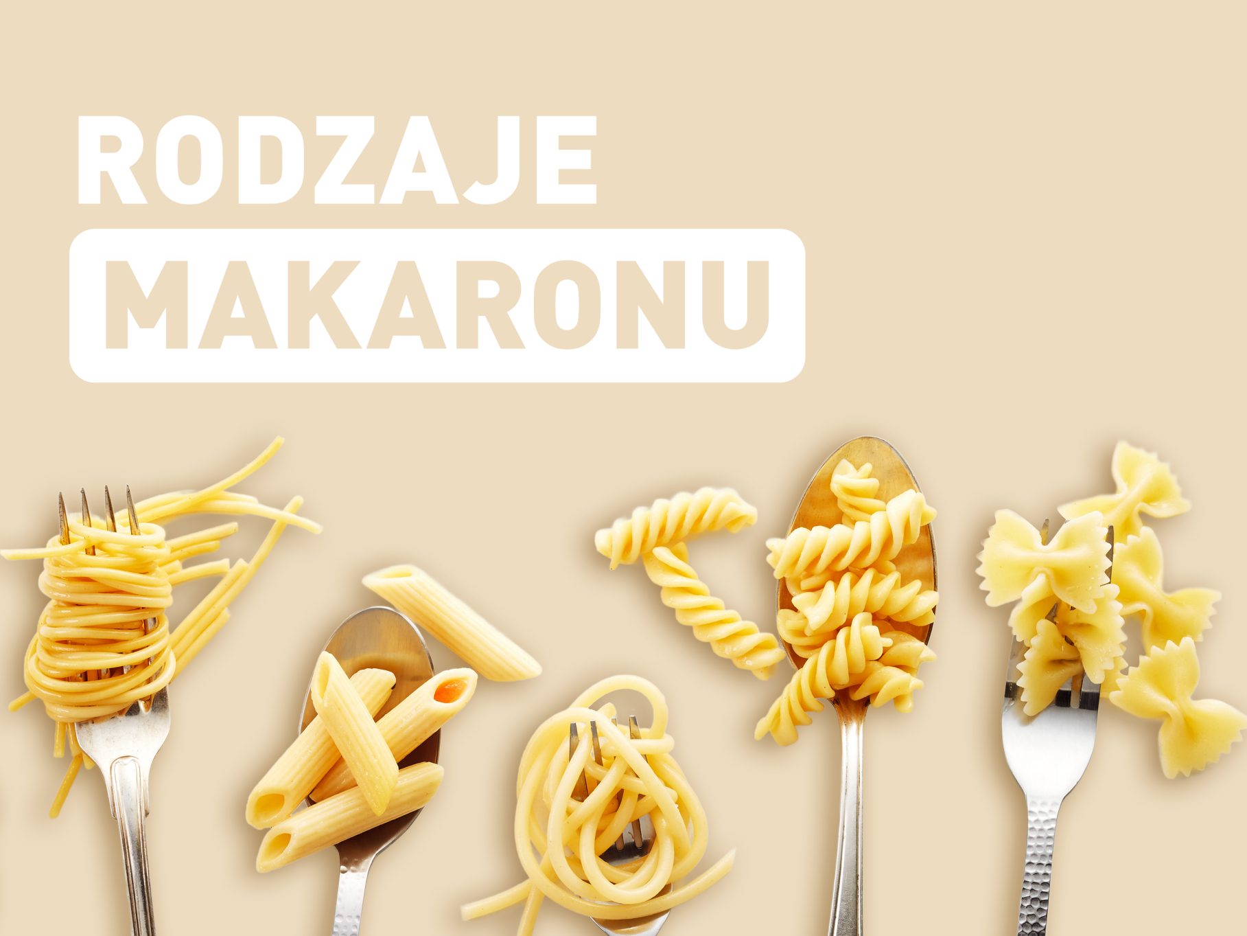 Rodzaje makaronu – nazwy, kształty, typy makaronów | ALDI