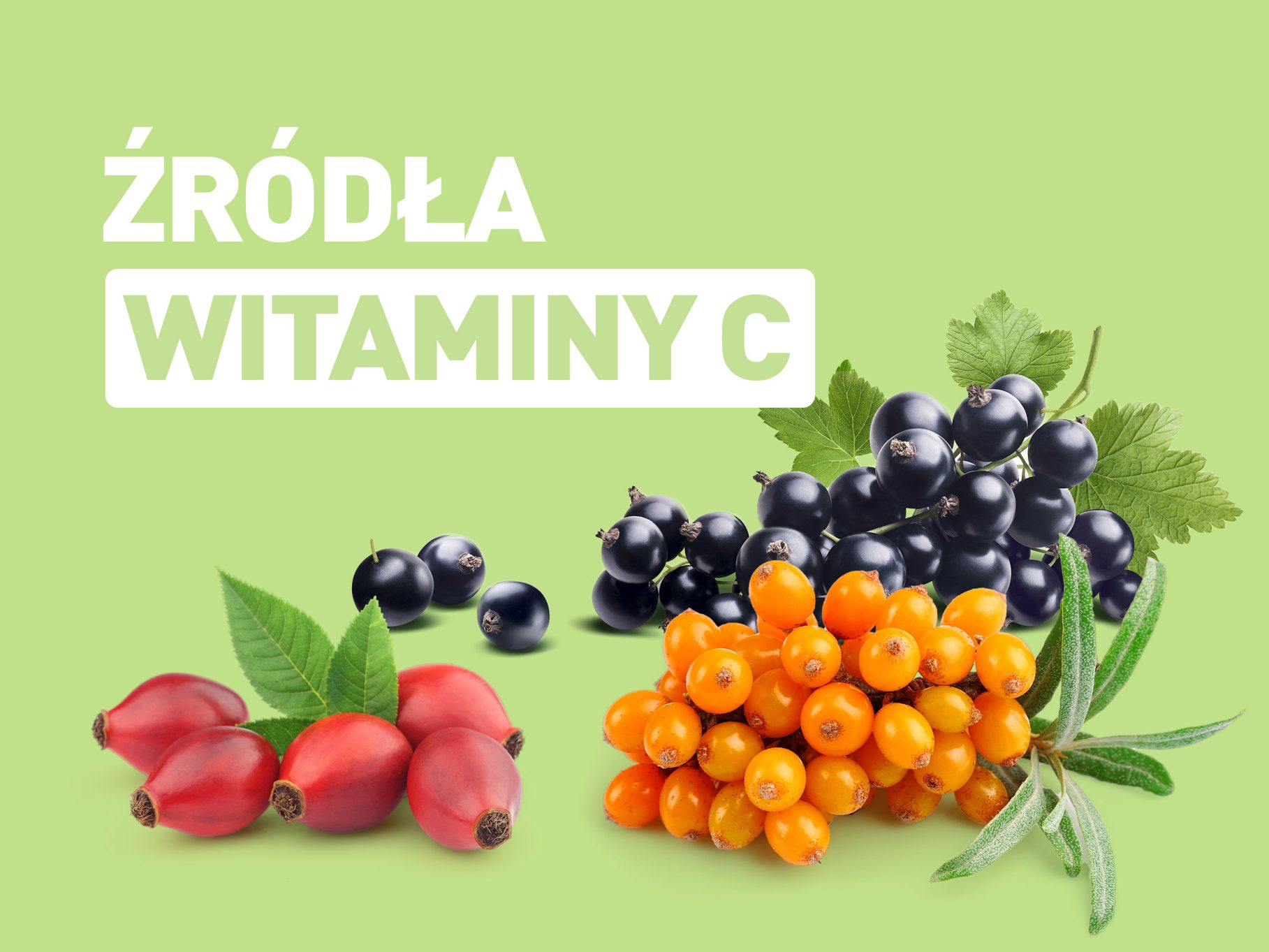 Źródła witaminy C – co ma najwięcej witaminy C? | ALDI