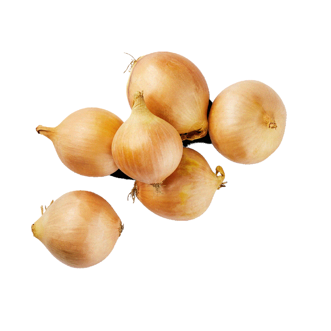 Cebula żółta Niska cena w ALDI