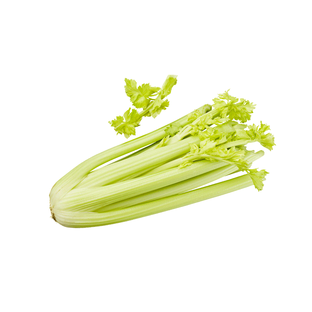 Seler naciowy Niska cena w ALDI