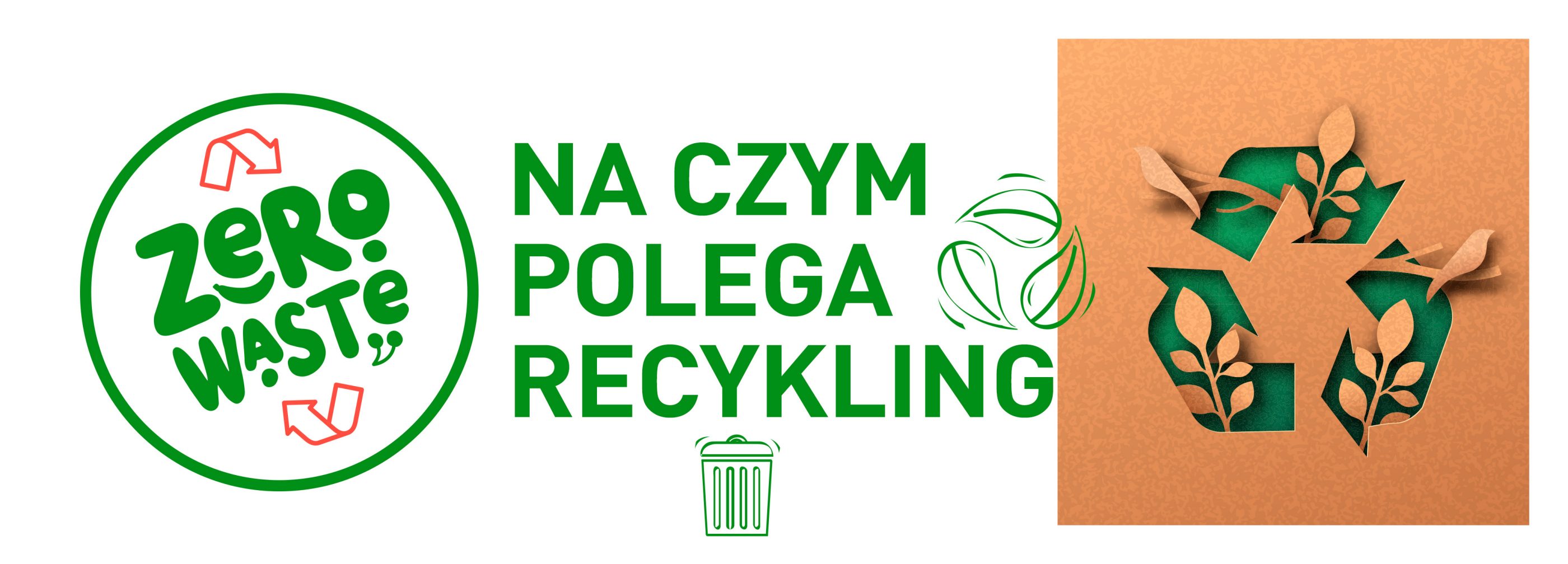 Recykling – co to jest, jakie są etapy i rodzaje recyklingu?