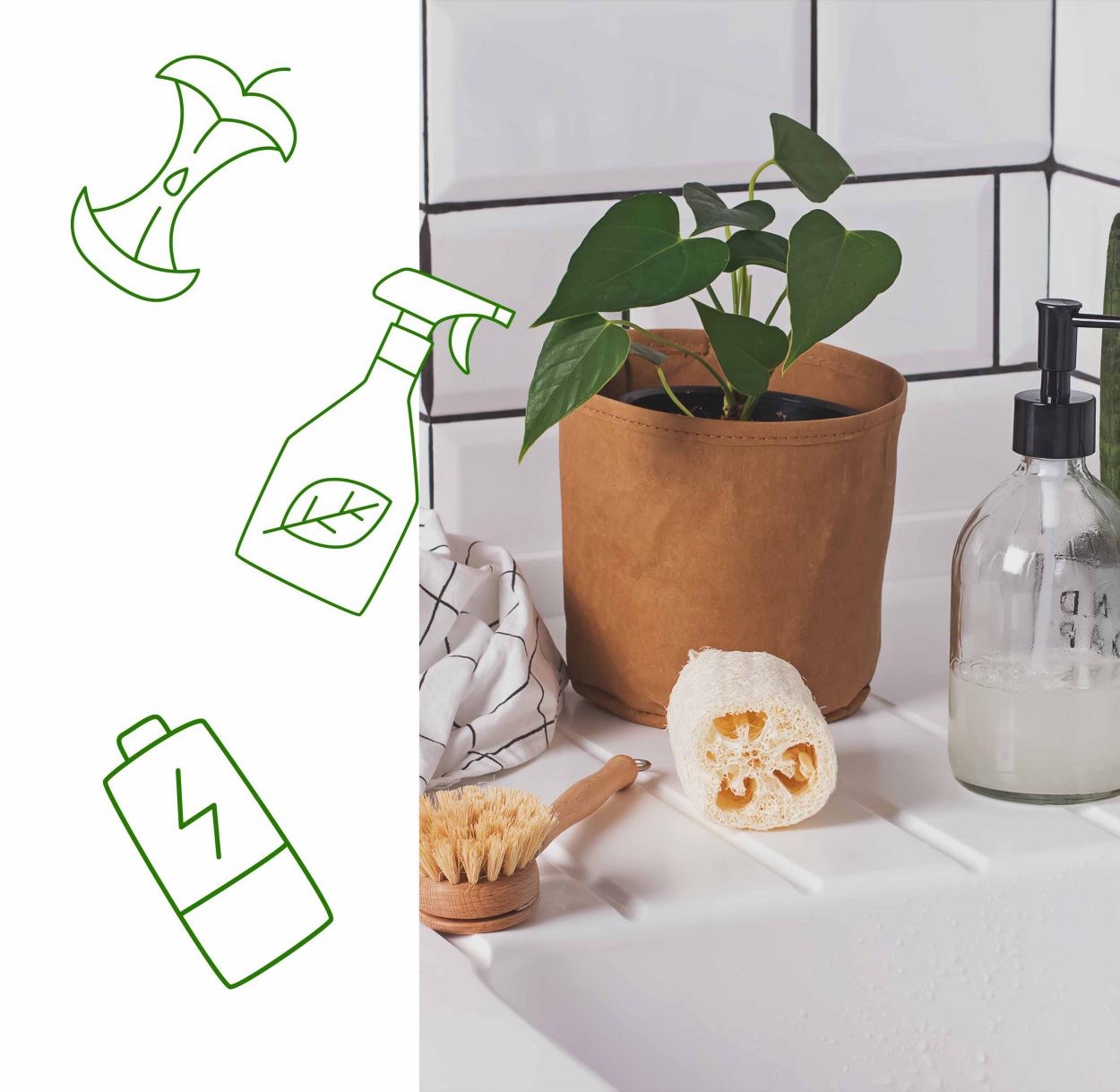 Jak być eko i dlaczego warto żyć ekologicznie? Poradnik | ALDI