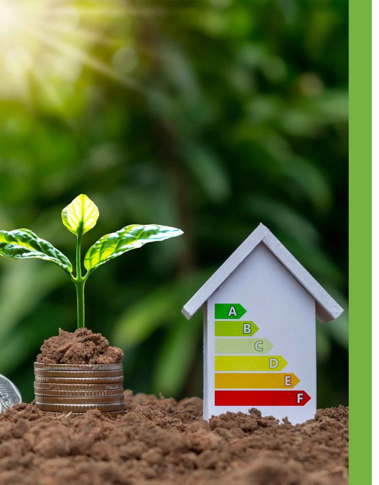 Jak być eko i dlaczego warto żyć ekologicznie? Poradnik | ALDI