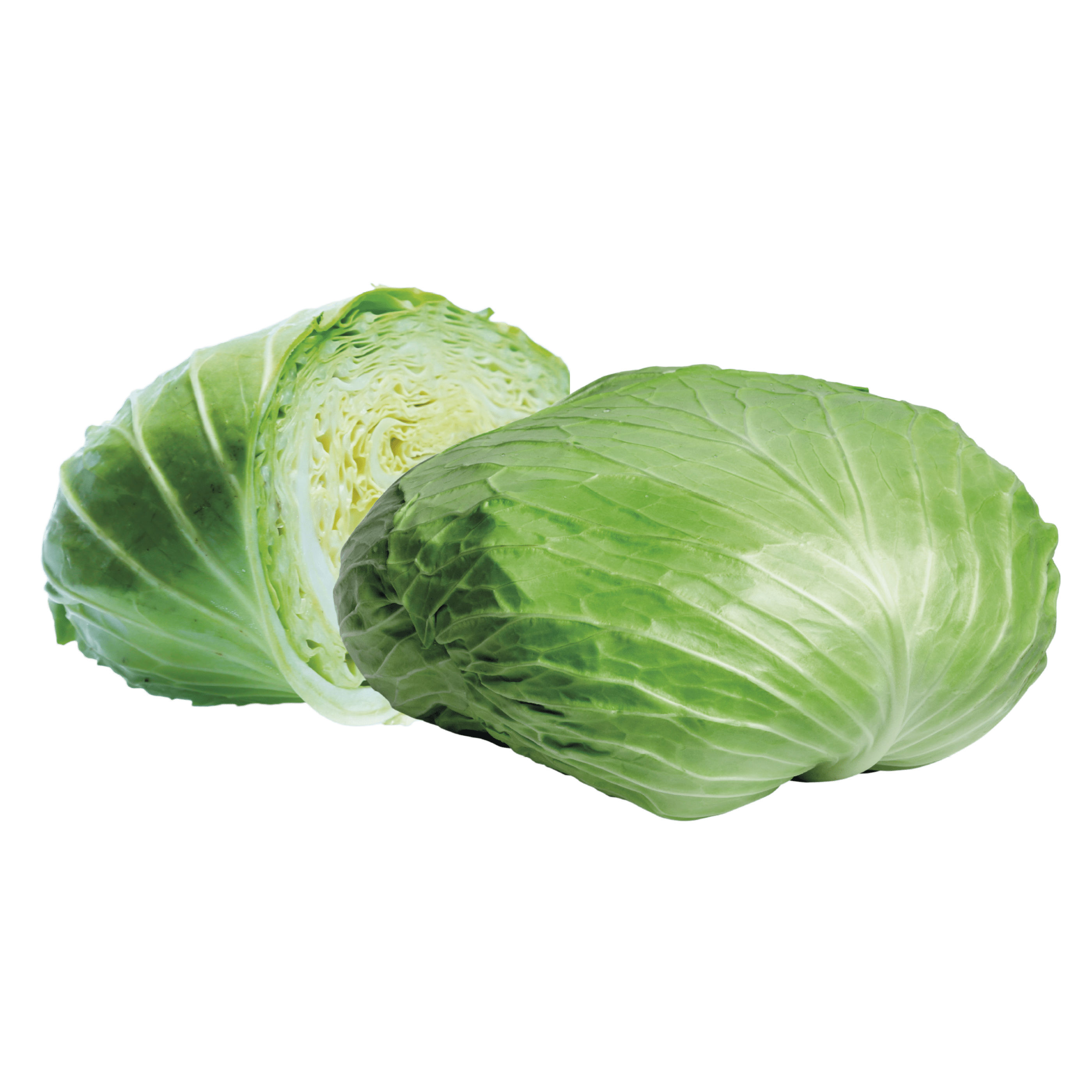 ŚWIEŻEJESZ Kapusta gołąbkowa Niska cena w ALDI