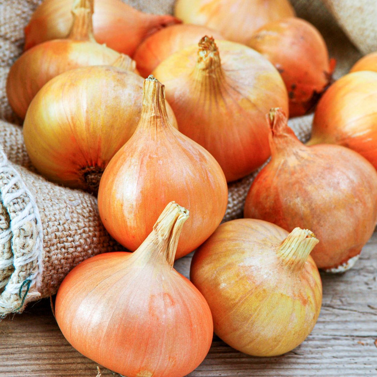 Cebula żółta Niska cena w ALDI