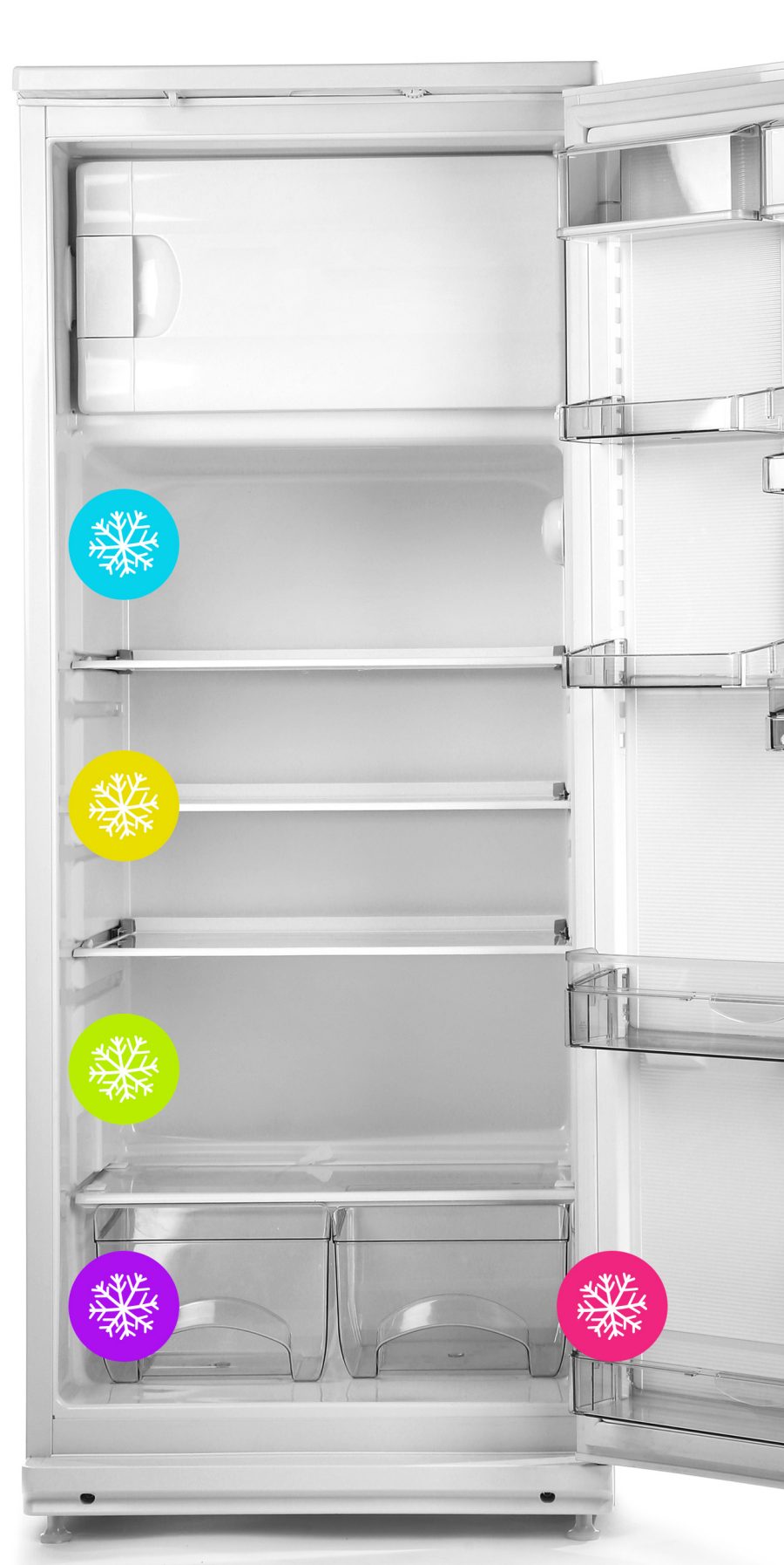 Jak układać produkty w lodówce? – Poradnik | ALDI