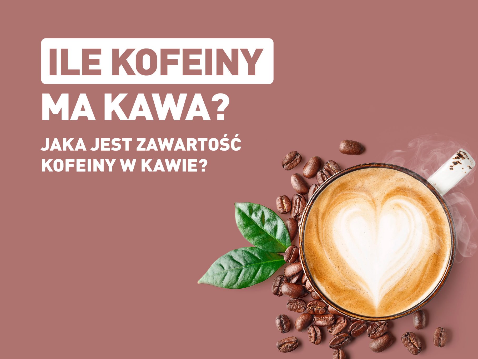 Ile kofeiny ma kawa? Jaka jest zawartość kofeiny w kawie? | ALDI